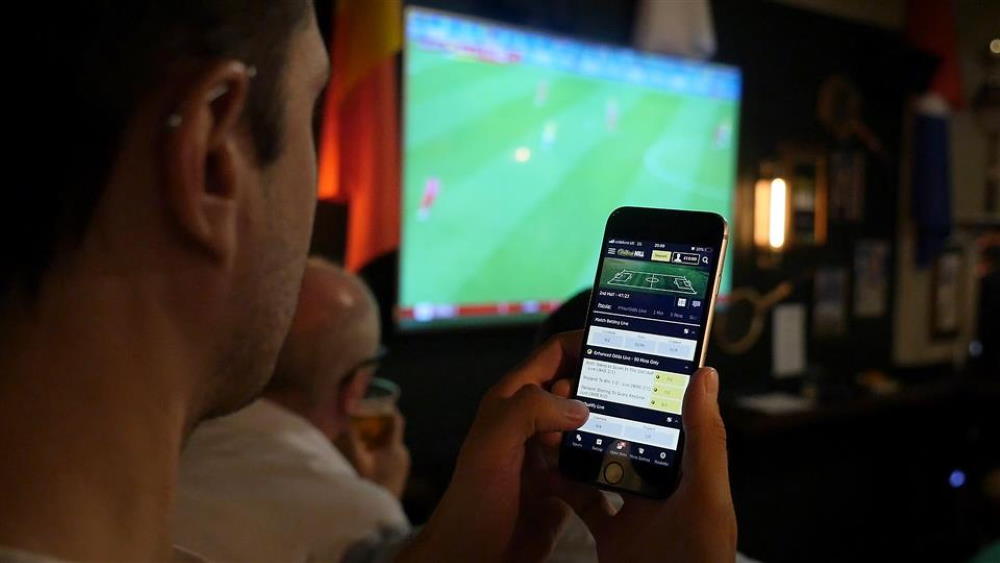 Software for Sportsbook – The Sportsbook Guide